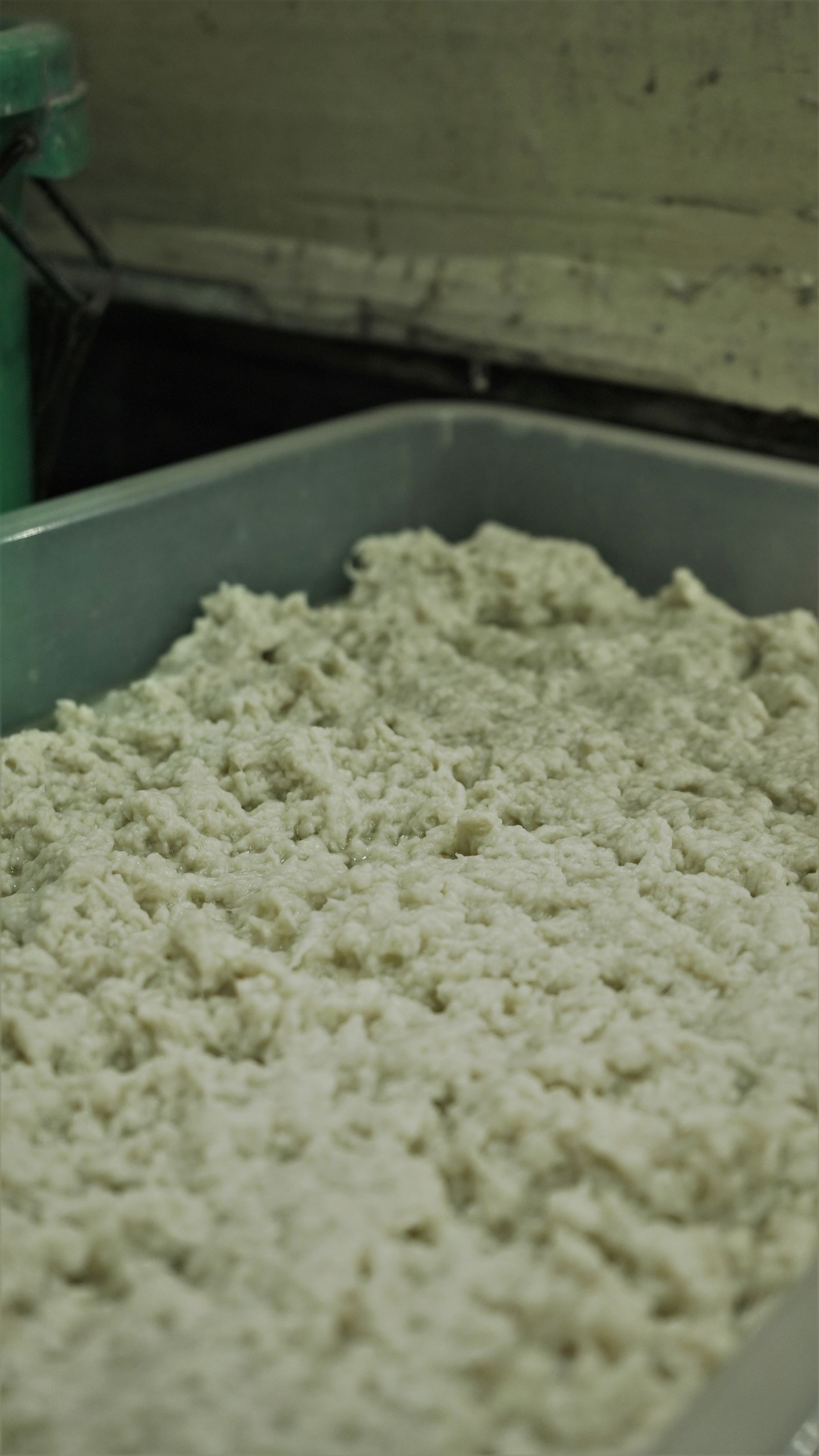 An exploration of materiality with DAG's Pulp Paper Print